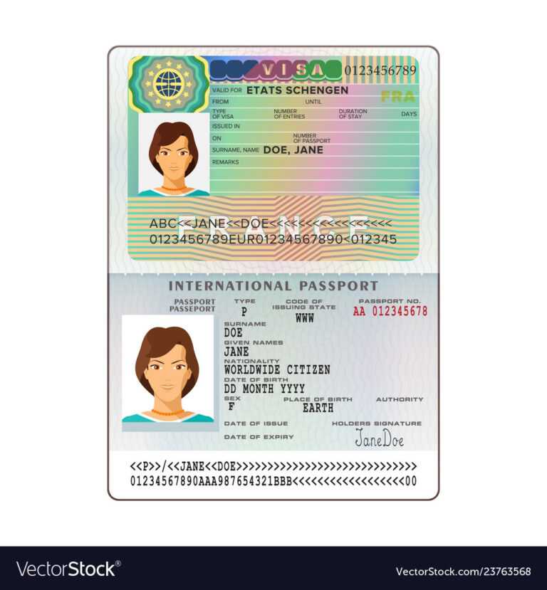 International Open Passport With France Visa with French Id Card ...